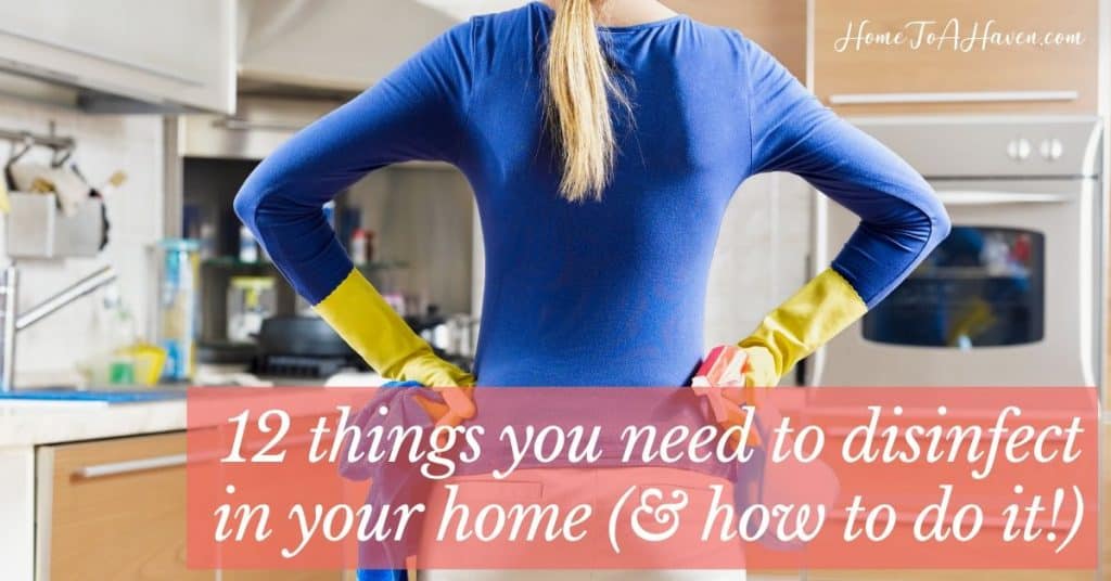 12 Things You Need to Disinfect in Your Home (& How to Do It!) • Hilary ...
